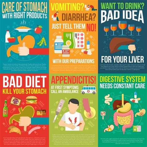 Free Vector Digestion Posters Set