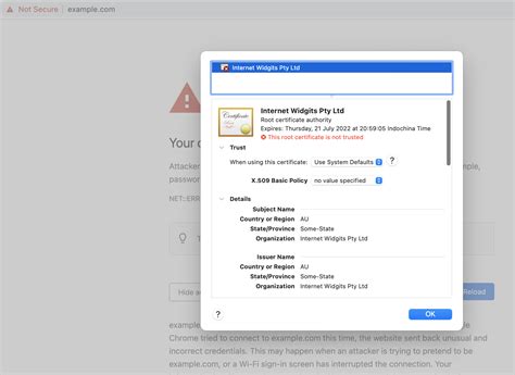 how to install ssl certificate for apache on ubuntu server 20 04