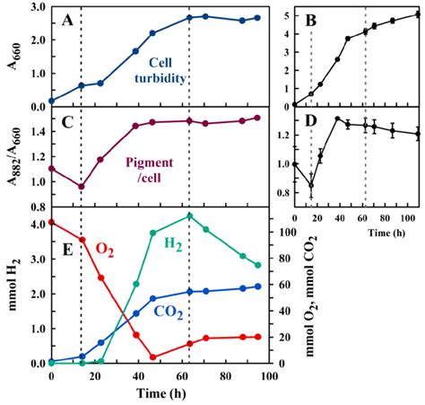 The R Rubrum Growth Experiment A B The Absorption At 660 Nm A660 Download Scientific