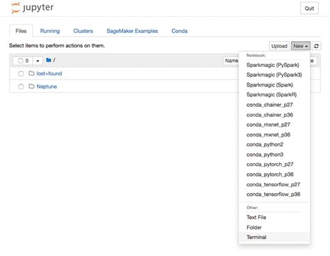 Amazon Sagemaker Jupyterノートブックを使用してamazon Neptune グラフを分析する Amazon Web Services ブログ