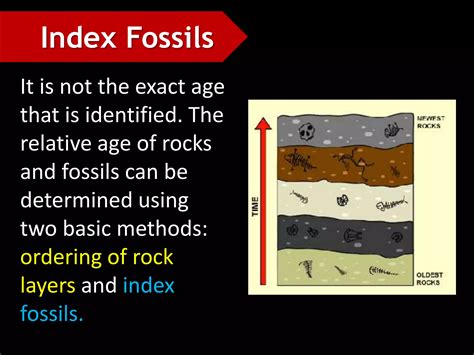 Quarter 4 Week 7 Defining And Identifying Subdivisions Of Geologic Time Scale Using Index Fossil