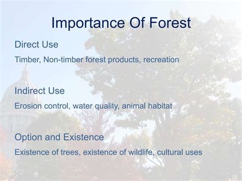 Forest Utilization And Its Commercial Aspects Pptx Woodworking