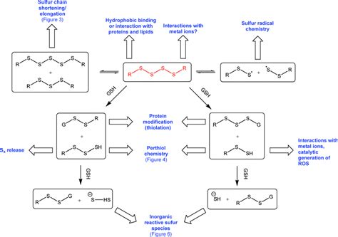 Polysulfide Alchetron The Free Social Encyclopedia