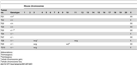 Summary Of Genomic Aberrations In Ten Different Th Mycn Tumors