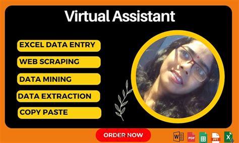 do data mining data extraction and web scraping by va expert amina