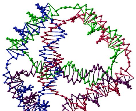 Dna Nanotechnology Involves Forming Artificial Designed Nanostructures Download Scientific
