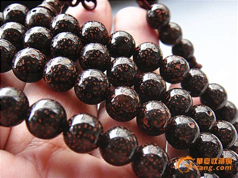 星月菩提黑 星月提发黑 星月提黑籽 大山谷图库