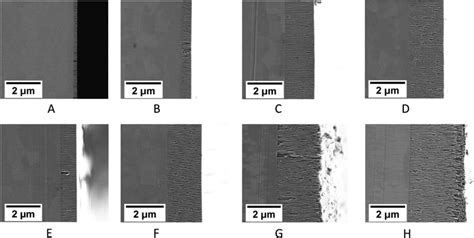 Scanning Electron Micrographs Secondary Electron Electrons Of The Download Scientific Diagram