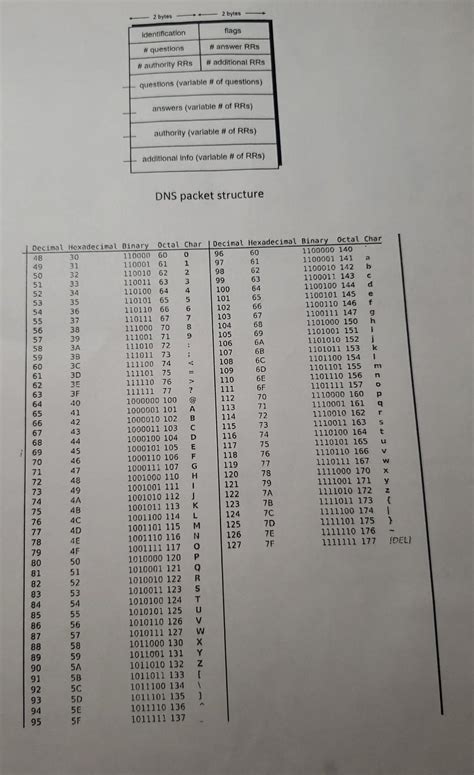 Solved Here Is A Dns Packet Captured By My Wireshark This Solved Here Is A Dns Packet Captured By My Wireshark This
