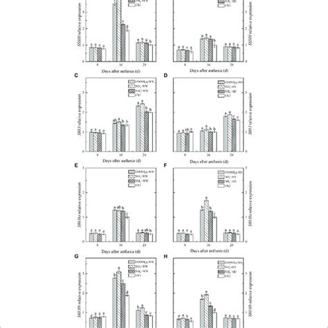 Pdf Effect Of Foliar Application Of Various Nitrogen Forms On Starch
