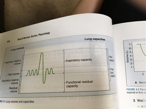 Brs Respiratory Physiology Flashcards Quizlet