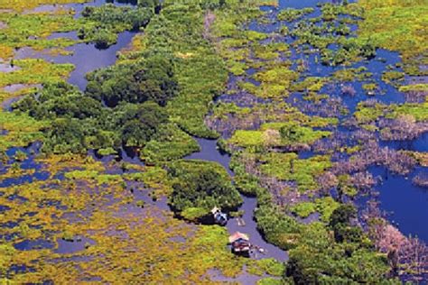 Earth Talk Peat Bogs Ecosystems That Store C02