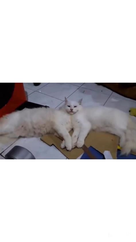 Graphics Error R Glitchinthematrix