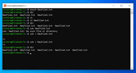 How To Create A File In Linux 5 Methods