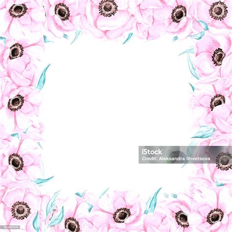 손으로 그린 말미잘의 프레임 흰색 배경에 수채화 바람 꽃 스크랩북 디자인 요소 타이포그래피 포스터 웨딩 카드 라벨 배너 디자인 세트 0명에 대한 스톡 벡터 아트 및 기타