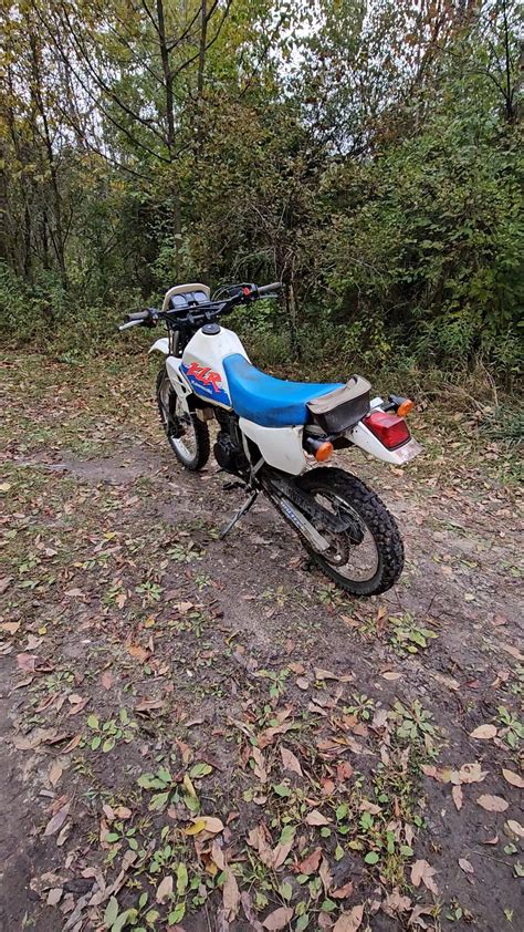 Klr 250 Purring In Its Natural Habitat R Dualsport