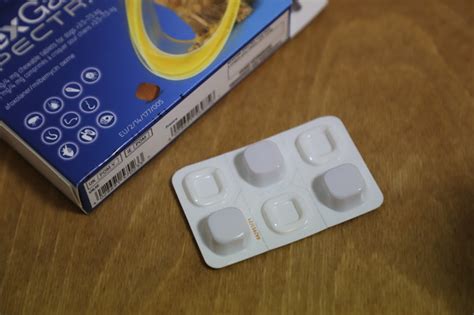 강아지 진드기 예방 가을 참진드기 조심 외부 내부 기생충 약 넥스가드 네이버 블로그