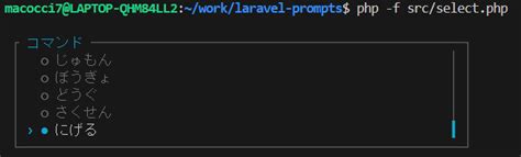 【laravel Prompts】使い方（passowrdconfirmselectmultiselect） Macocci7s Blog