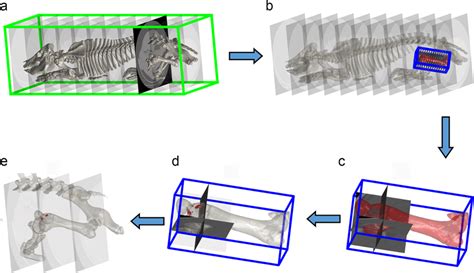 Preparation Of Ct Scans For Labelling A The Original Scan Green Box Download Scientific