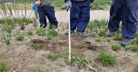 눈으로만 봐주세요국가 정원 식물 도둑 기승