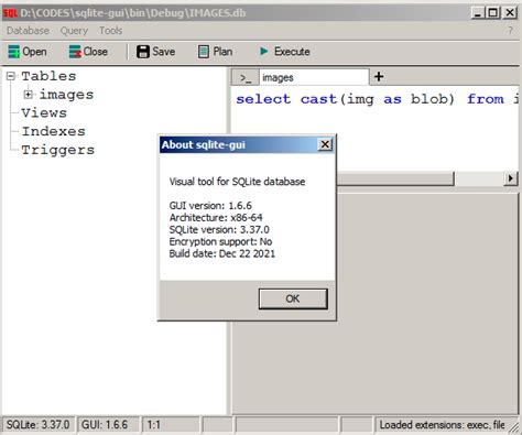 please add the number version on the guis · issue 89 · little brother sqlite gui · github