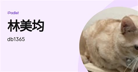 林美均 Db1365 Profile Padlet