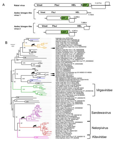 Microorganisms Special Issue Viral Metagenomics And Metatranscriptomics Virus Discovery
