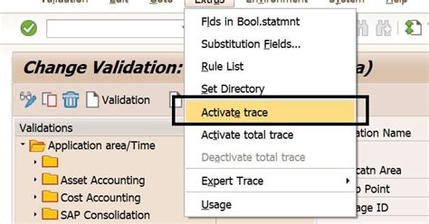 s4 hana debugging validation rules ggb0 in f110 automatic payment