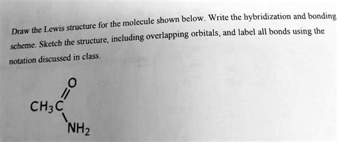 Solved Draw The Lewis Structure For The Molecule Shown Below Write The Hybridization And