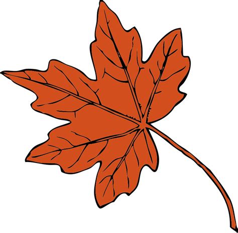 Maple Leaf Openclipart