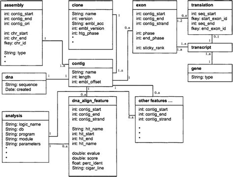 Entity Relationship Model Of The Ensembl Schema Tables Are Represented