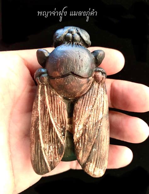 “พญาแมลงภู่คำ จ่าฝูงใหญ่สุด Jack Jill Kumanthong Facebook