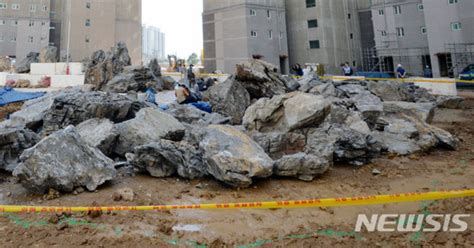 대구서 붉은불개미 발견