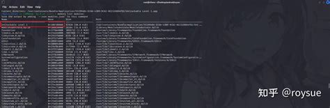 《挑战不用macos逆向ios app》之objc语法、ios应用开发、及objection自动化hook入门 知乎