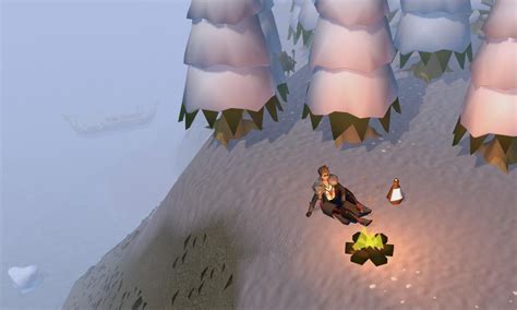 Roots From Tree Patches R2007scape