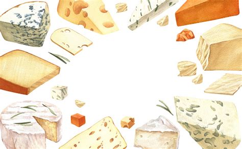 수채화 다른 치즈 프레임 템플릿입니다 분리된 흰색에 음식 개체가 있는 카드 배경을 손으로 그립니다 음료 메뉴 카페 와인리스트 라벨 배너 전단지 브로셔 0명에 대한 스톡 벡터