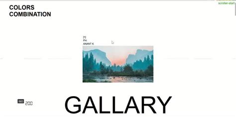 Anant K Patel On Linkedin Look The Webapp I Make Creating An Appealing Color Scheme For An Agency