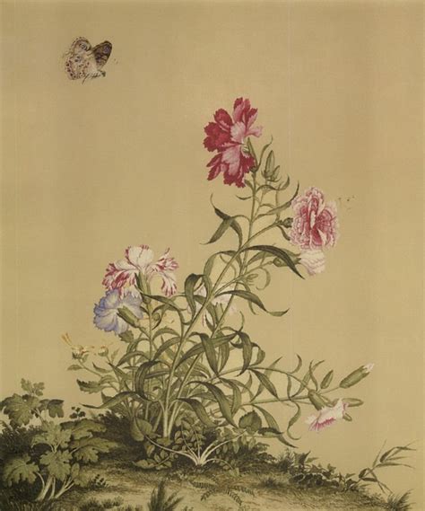 仙萼长春图之石竹图 国画欣赏 国画 历代国画艺术长廊