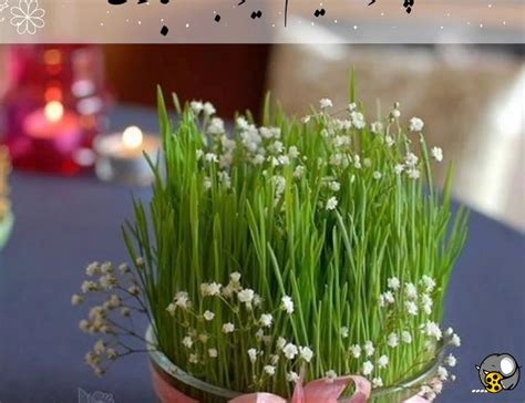 پسر عمه عزیزم سیزده بدر مبارک 🌱 کلیپ تبریک سیزده بدر سیزده بدر فیلو