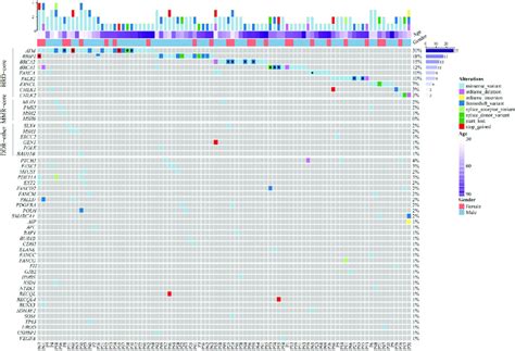 Profiling Of Germline Mutations In 89 Hrd Mut Patients With Gastric Download Scientific Diagram