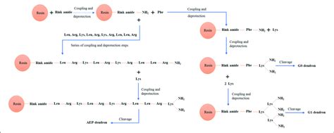Schematic Diagram Showing Spps Chemistry Including Coupling And Download Scientific Diagram