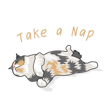 Cat Character Take A Nap Stock Vector Illustration Of Domestic 210076960