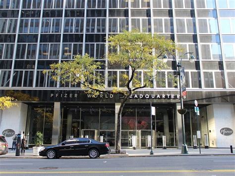 Pfizers Abrocitinib Reduces Flare In Atopic Dermatitis Trial