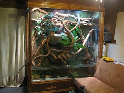 Brown Basilisk Facts And Pictures Reptile Fact