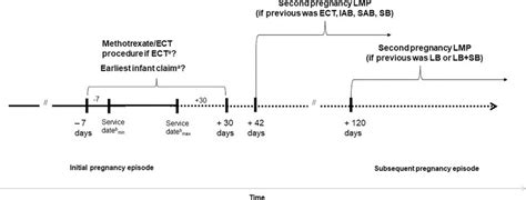 Schematic Of Select Pregnancy Algorithm Implementation Steps Download Scientific Diagram