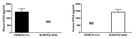 B Hkit Hkitlg Mice Biocytogen
