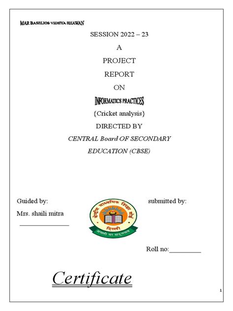 Project Documents On Cricket Analysis Pdf Software Engineering