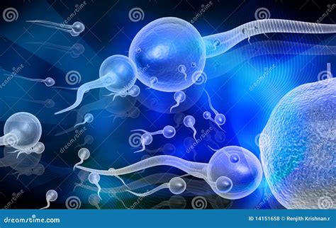 Sperm Stock Illustration Illustration Of Human Hospital 14151658