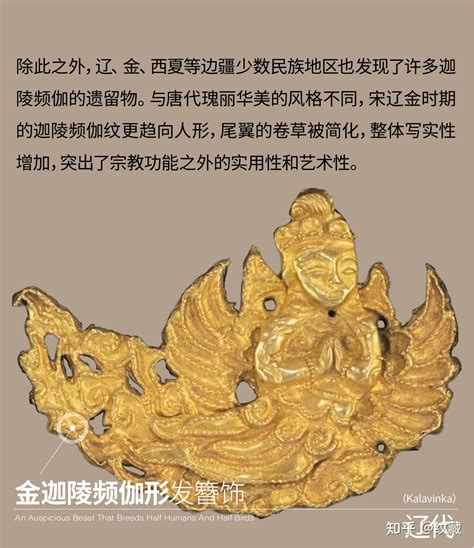 妙音千年佛教中的百灵神鸟 知乎
