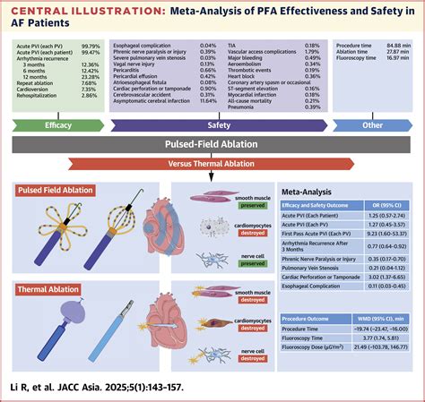 Effectiveness And Safety Of Pulsed Field Ablation In Patients With Atrial Fibrillation Jacc Asia
